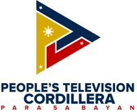 PTV Regional Network Group | Logopedia | Fandom