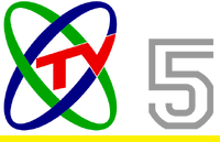 CCTV-5 | Logopedia | Fandom