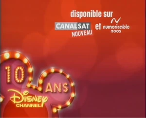 Disney Channel/Anniversary | Logopedia | Fandom