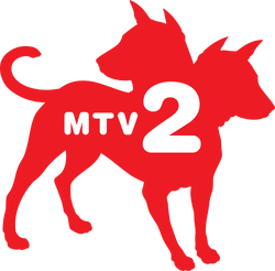 Mtv 2 Logo