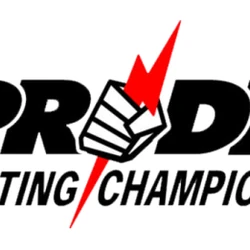 pride mma logo