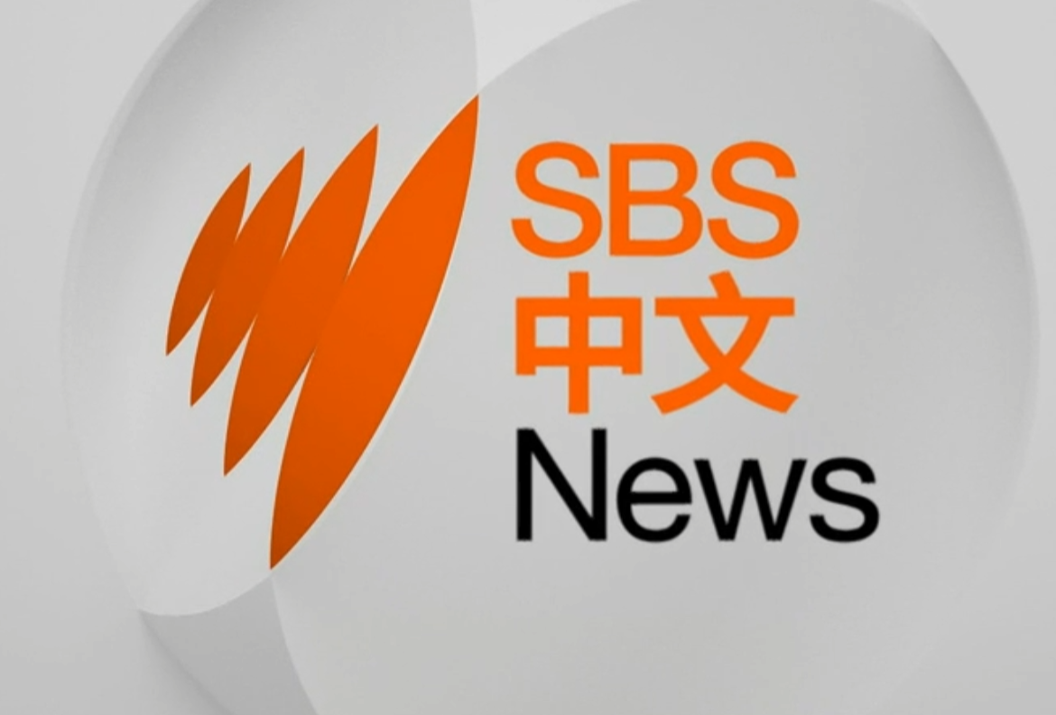SBS Chinese News Logopedia Fandom sbs-chinese-news-logopedia-fandom