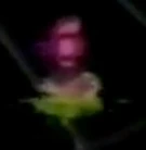 Happy TV/On-screen bugs | Logopedia | Fandom