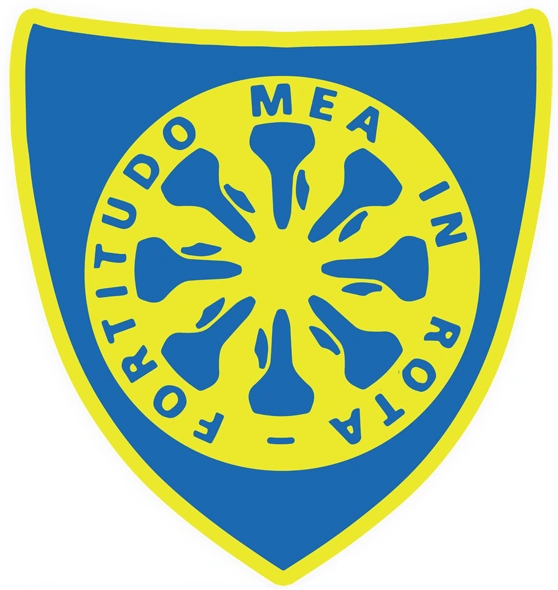 Carrarese Calcio 1908 | Logopedia | Fandom