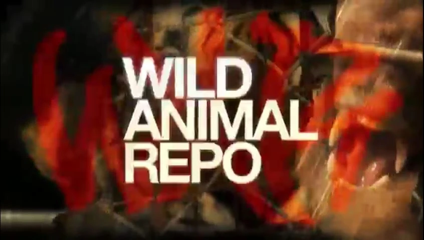 Wild Animal Repo | Logopedia | Fandom