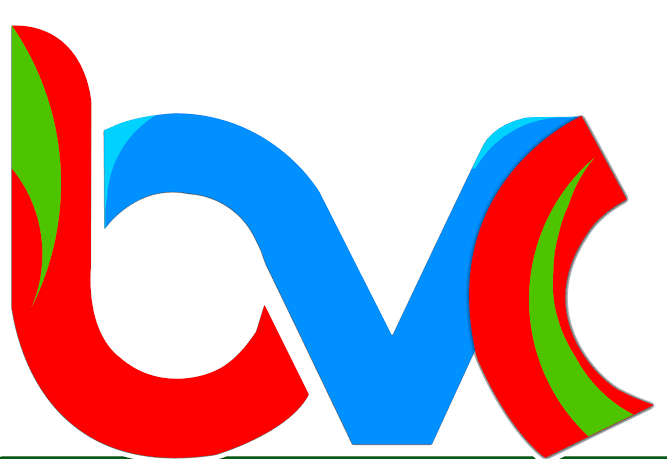 Barsha Vision Cable | Logopedia | Fandom