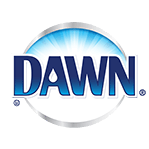 Dawn | Logopedia | Fandom