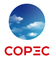 Copec/Logos variantes | Logopedia | Fandom