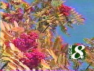 WDSE | Logopedia | Fandom