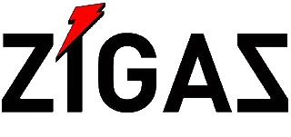 Zigaz | Logopedia | Fandom