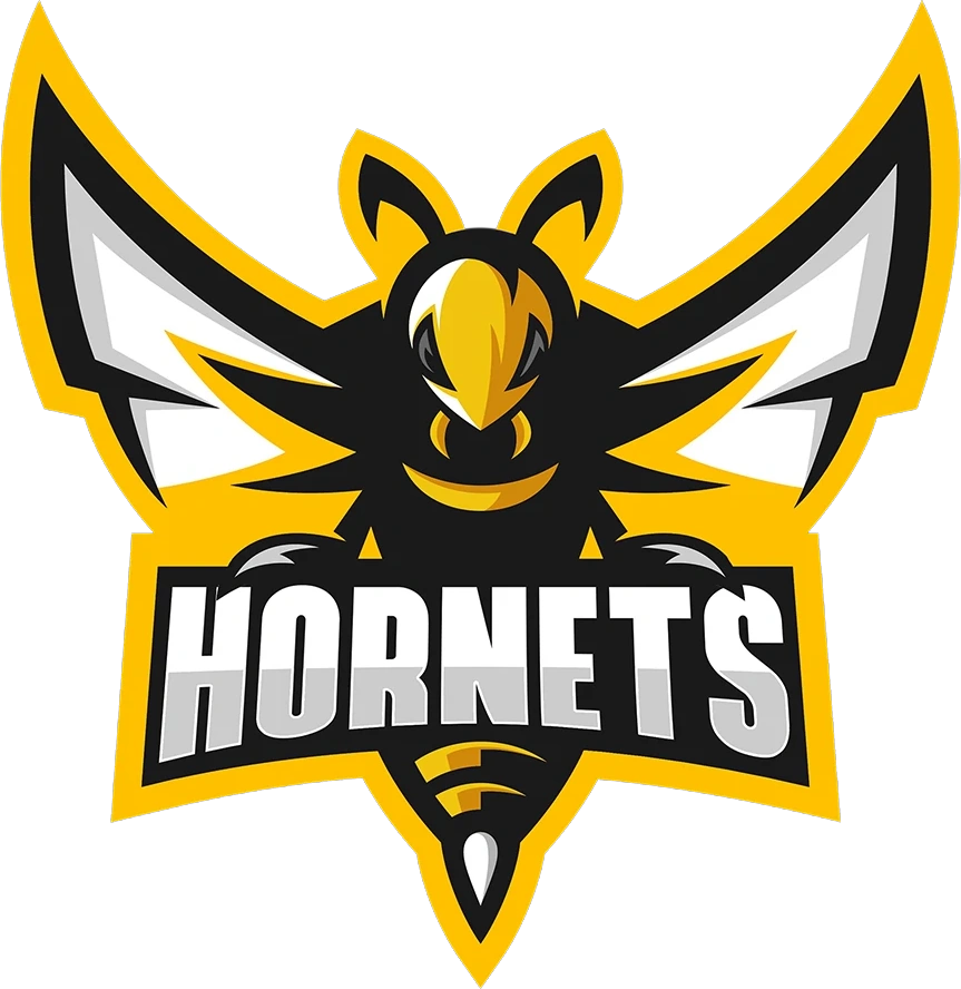 Yellow Hornets Logo