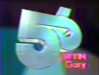 WYIN | Logopedia | Fandom