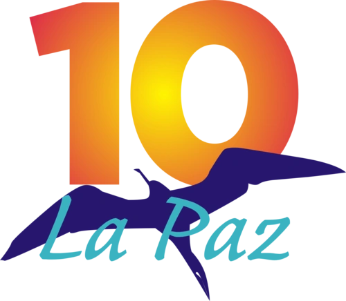 XHK-TV | Logopedia | Fandom