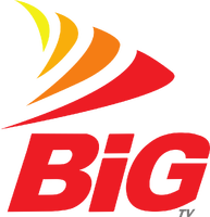 BiG TV | Logopedia | Fandom