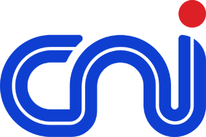 CNI | Logopedia | Fandom