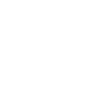 ANEM | Logopedia | Fandom