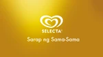 Selecta (ice cream) | Logopedia | Fandom