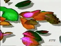 TVM (Malta)/Other | Logopedia | Fandom