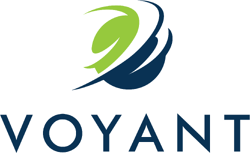 Voyant | Logopedia | Fandom