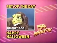 WNUV | Logopedia | Fandom