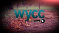 WYCC | Logopedia | Fandom