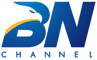 BN Channel | Logopedia | Fandom