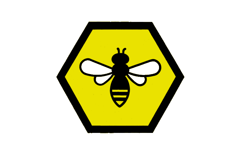 Nueva Rumasa | Logopedia | Fandom