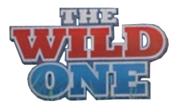 The Wild One | Logopedia | Fandom