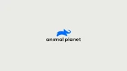 Animal Planet/Other | Logopedia | Fandom