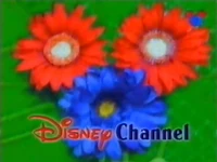 Disney Channel (international)/Red and Blue Idents | Logopedia | Fandom
