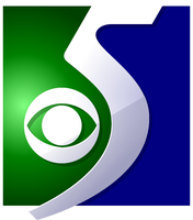 WNEM-TV/Other | Logopedia | Fandom