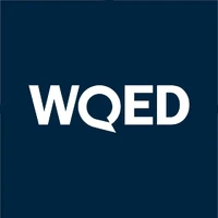 WQED (TV) | Logopedia | Fandom