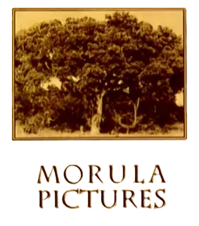 Morula Pictures | Logopedia | Fandom