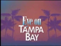 WTVT/News | Logopedia | Fandom