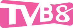 TVB8 | Logopedia | Fandom
