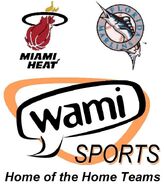 WAMI-DT | Logopedia | Fandom