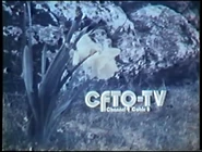 CFTO-DT | Logopedia | Fandom