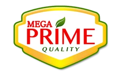 Mega Prime | Logopedia | Fandom