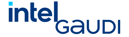 Intel Gaudi | Logopedia | Fandom