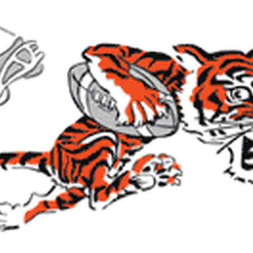 Bengals Old Logo