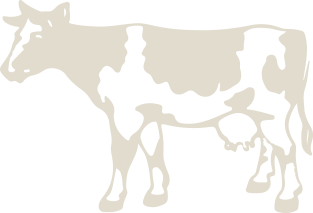 Mococa | Logopedia | Fandom