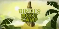 Bindi's Bootcamp | Logopedia | Fandom