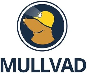 Mullvad VPN | Logopedia | Fandom