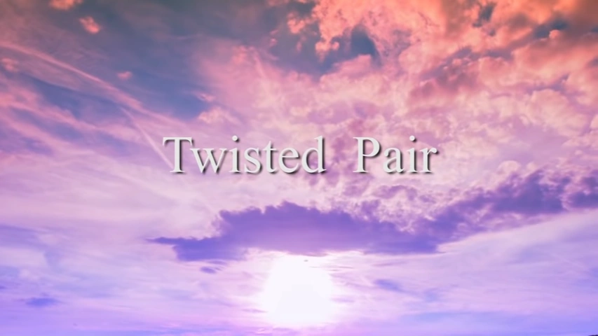 Twisted Pair | Logopedia | Fandom