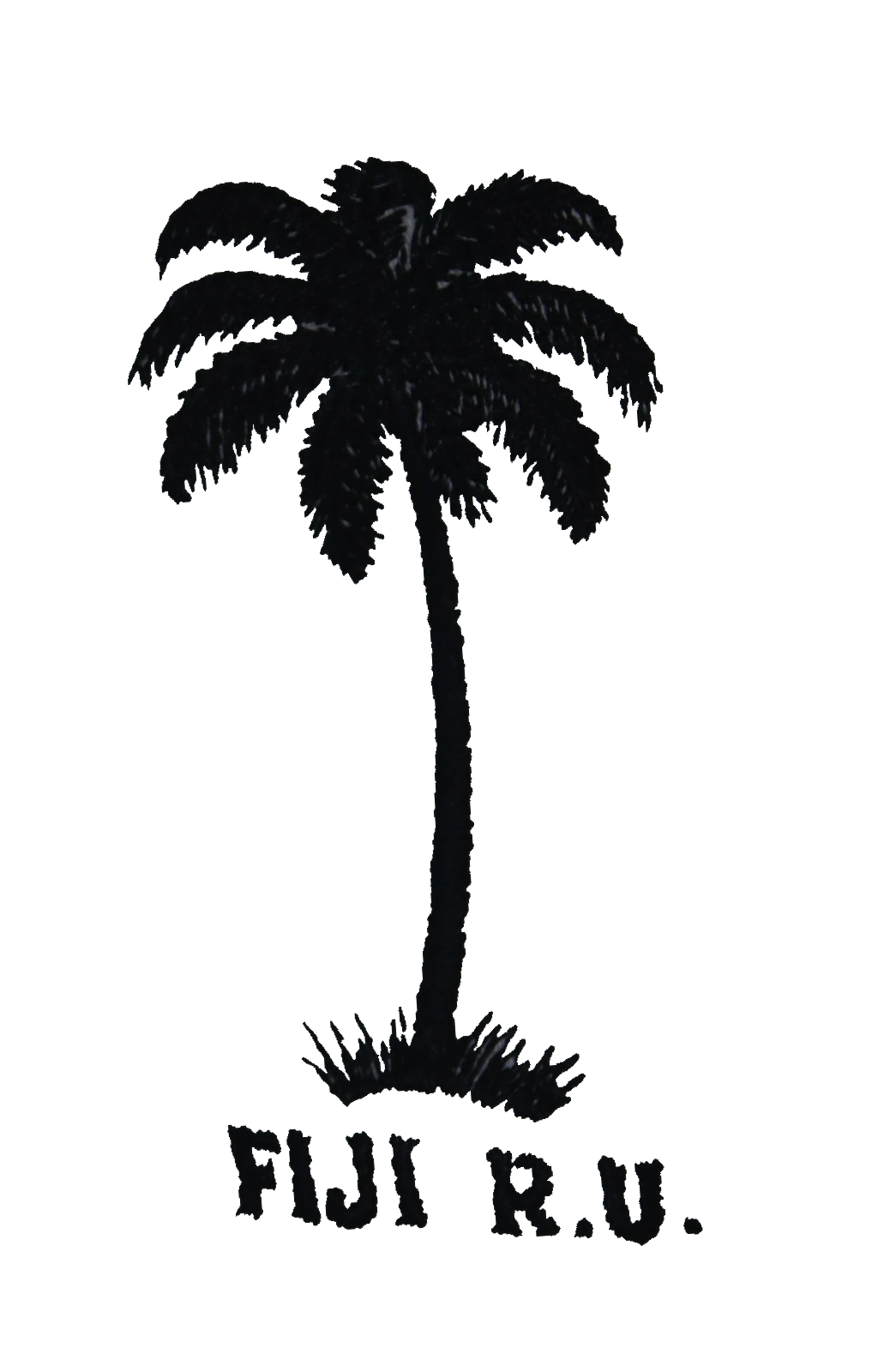 Fiji Rugby | Logopedia | Fandom