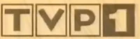 TVP1/Logo Variations | Logopedia | Fandom