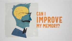 Can I Improve My Memory? | Logopedia | Fandom
