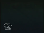 Disney Channel (international)/On-Screen Watermarks | Logopedia | Fandom