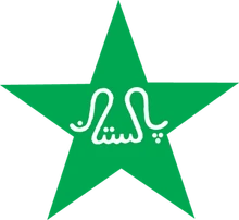 Pakistan national cricket team | Logopedia | Fandom