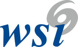 WSI | Logopedia | Fandom